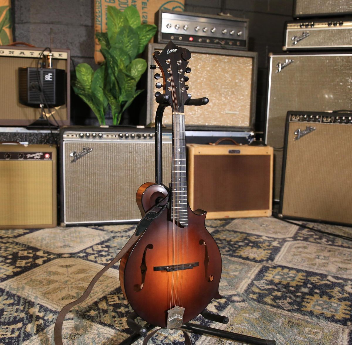 Mondo Mando - Premier Guitar