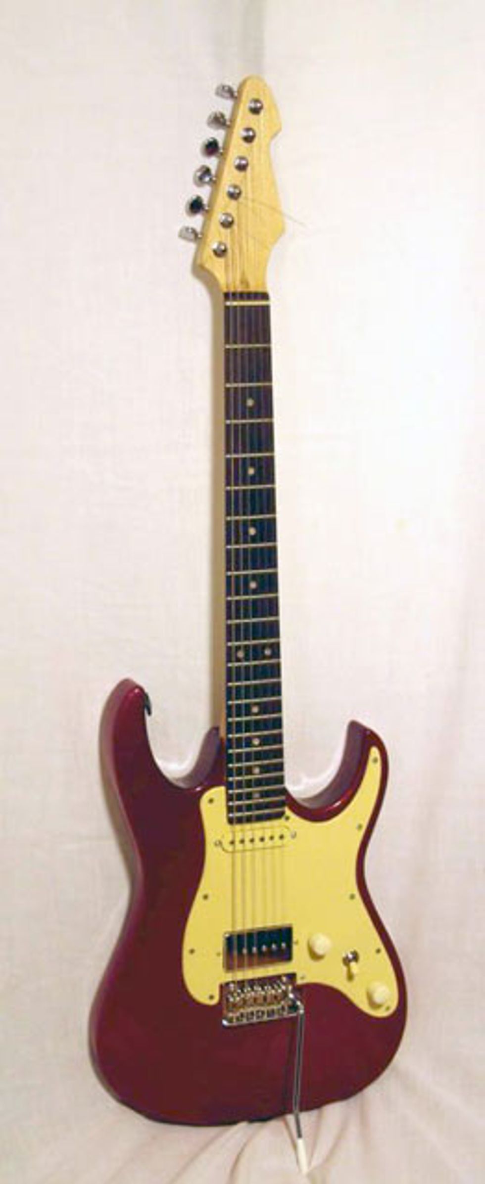 GALLERY: Reader Hot Rod Guitars 2012, Part 1 - Premier Guitar