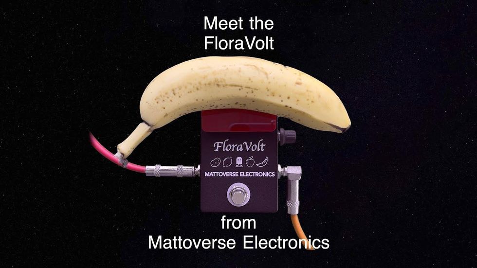Meet the FloraVolt - A fruit/vegetable powered effects pedal from ...